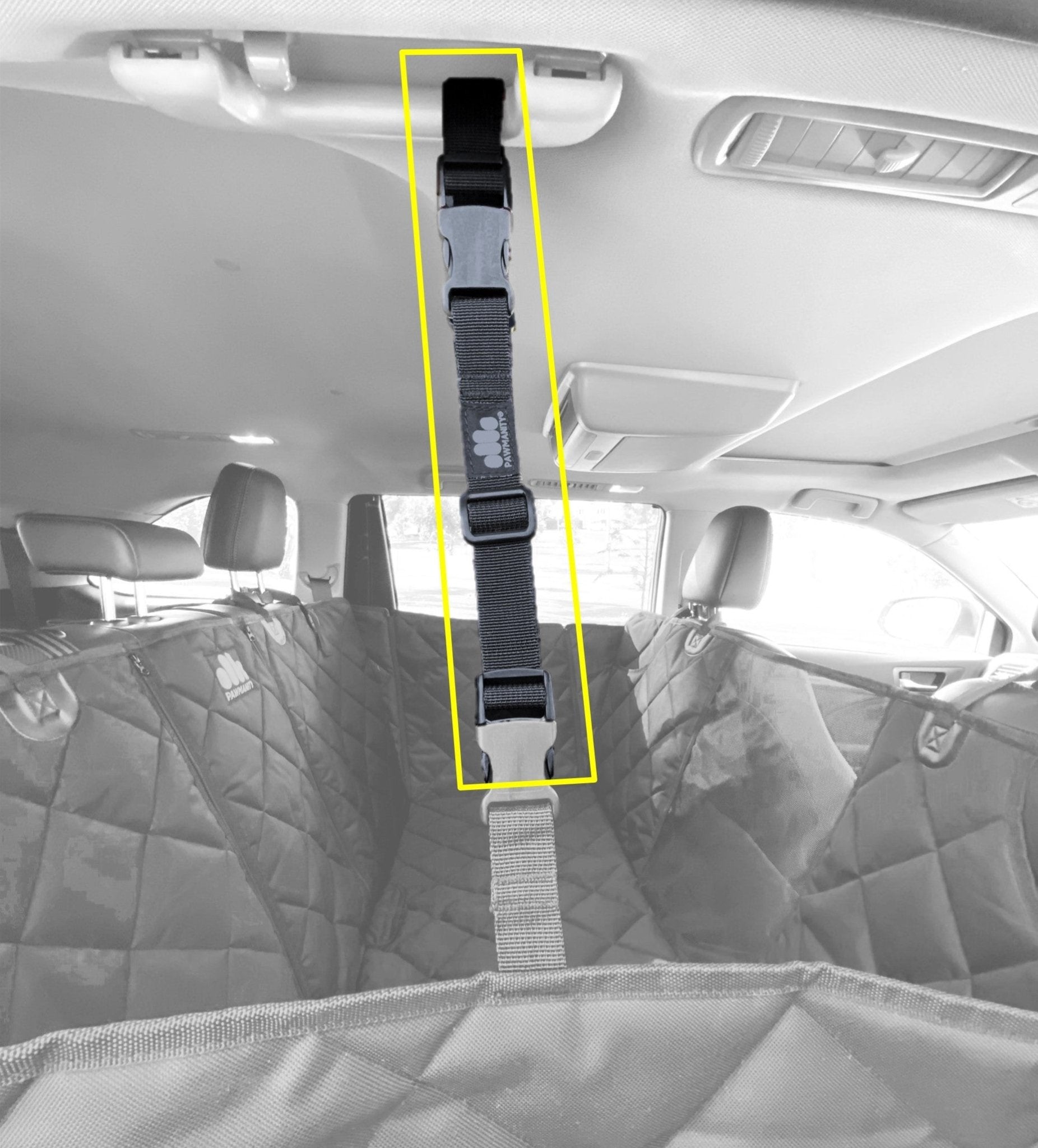 Grab Handle Strap – Pawmanity