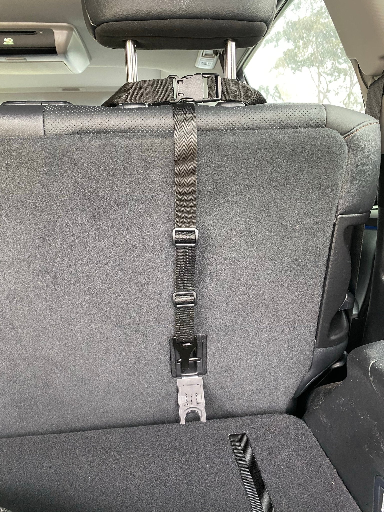 Latch Restraint Belt | Luxury Pet Travel | Pawmanity
